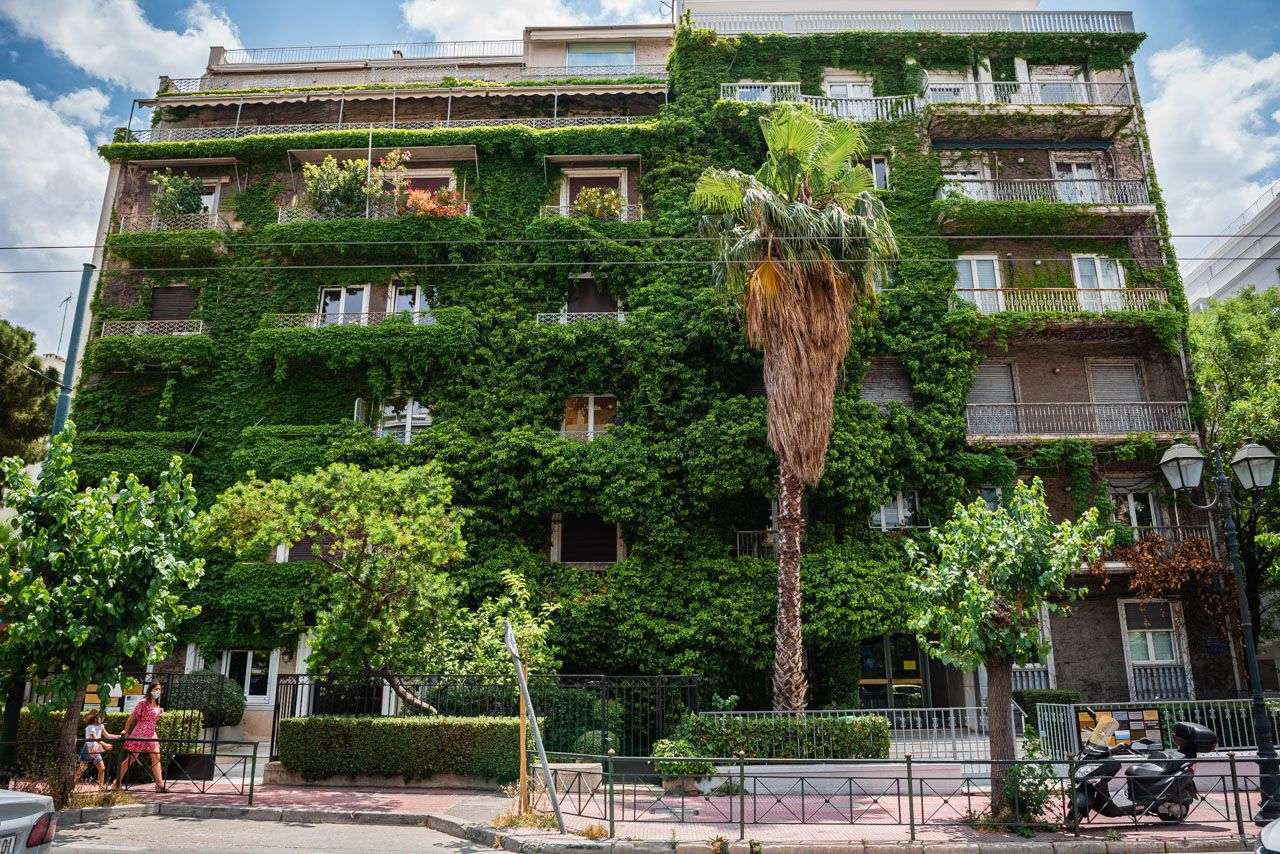 Οι κατακόρυφοι κήποι της Αθήνας | ΚΑΤΑΚΟΡΥΦΟΙ ΚΗΠΟΙ ΚΑΙ ΚΡΕΜΑΣΤΑ ...